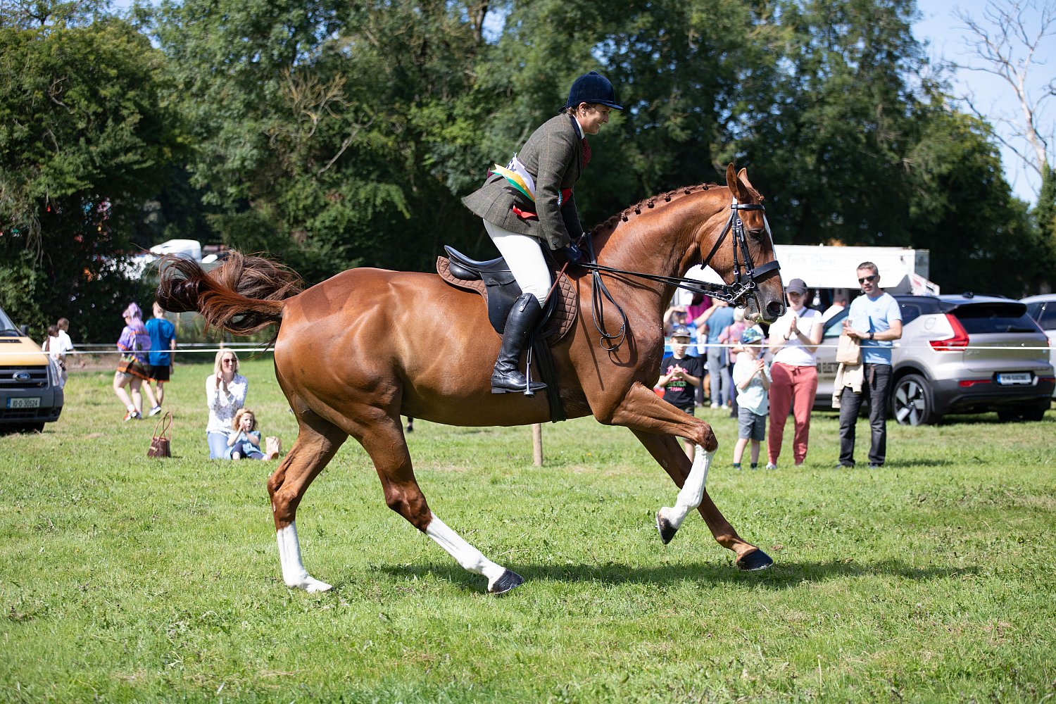 Galleries - Equestrian - Jane Emily Photos